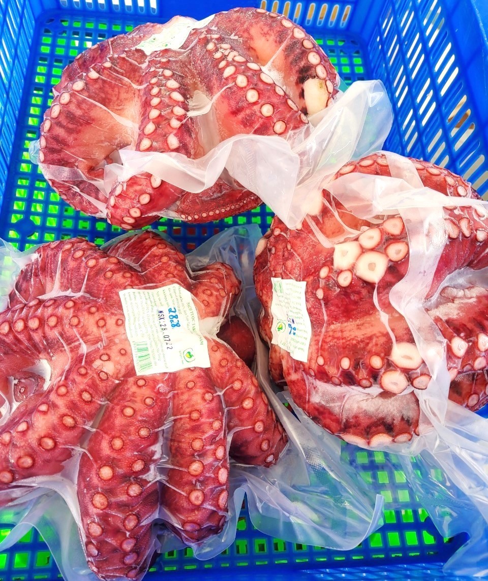 BẠCH TUỘC TAKO VIỆT NAM - VGVINA Seafood