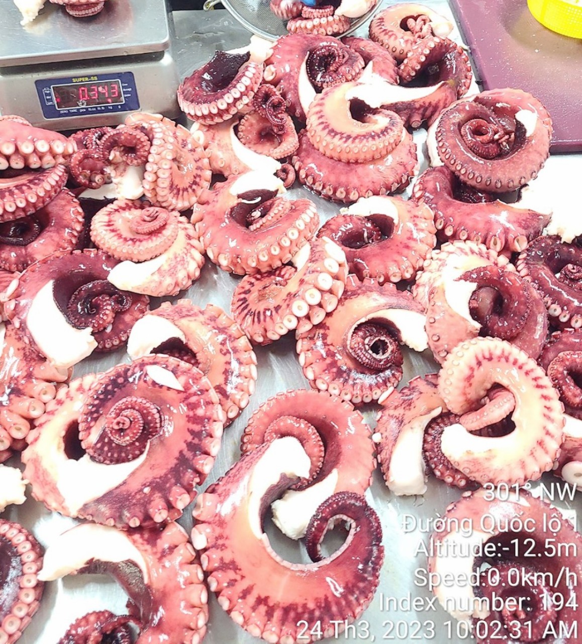 BẠCH TUỘC TAKO SLICE - VGVINA Seafood